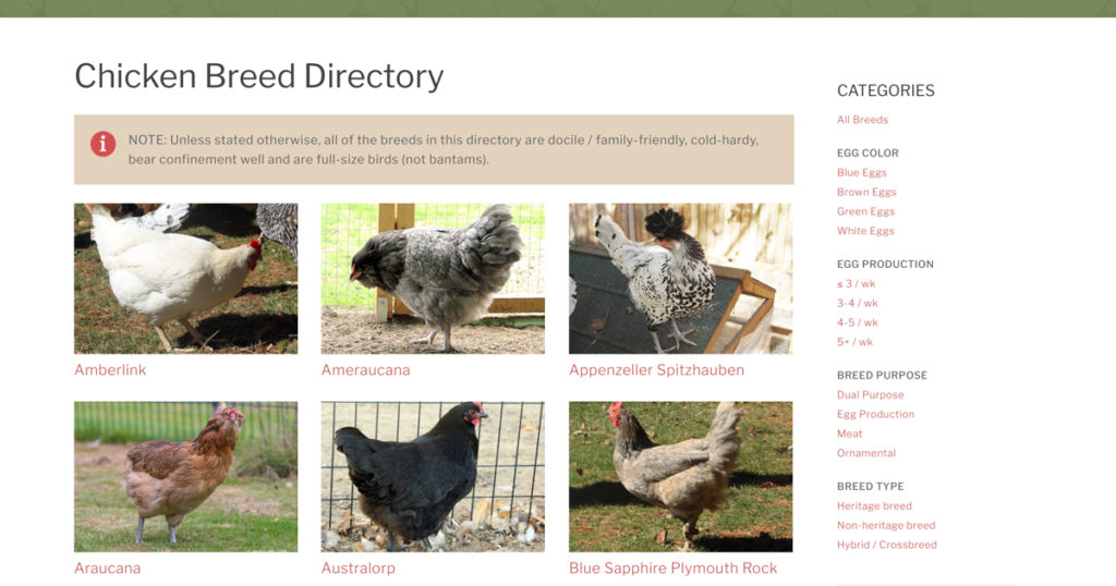 Chicken Breed Directory - Learn at Homesteader Me